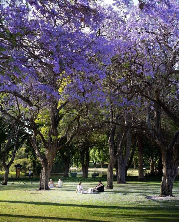 A Guide To Summer Holidays In Perth